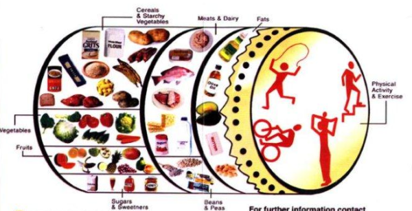 Dietary Guidelines Around the World | The Dietitian's Pantry