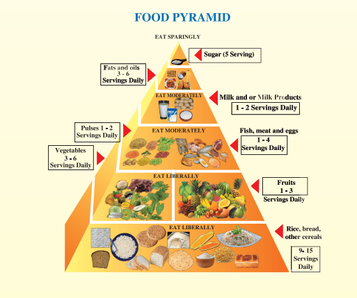 Dietary Guidelines Around the World | The Dietitian's Pantry